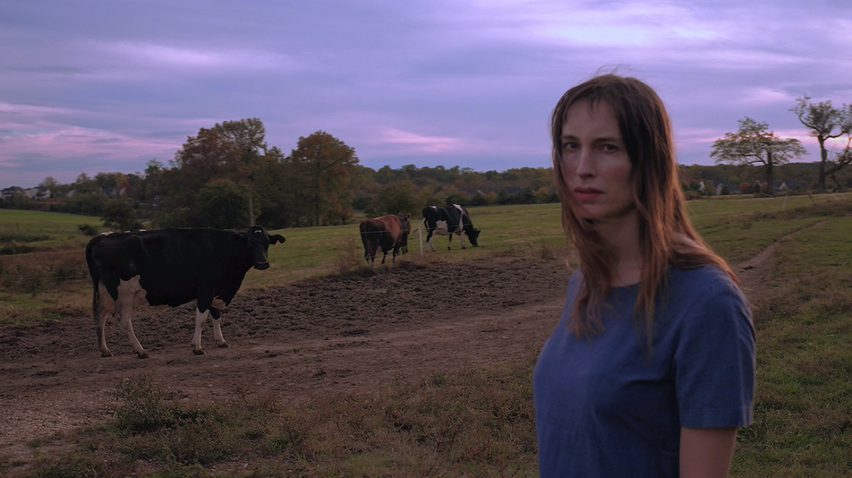 Marnie Ellen Hertzler | Bemis Center for Contemporary Arts