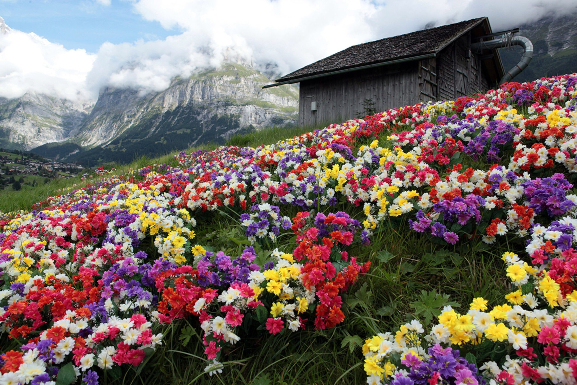 Sujin Lim | Bemis Center for Contemporary Arts