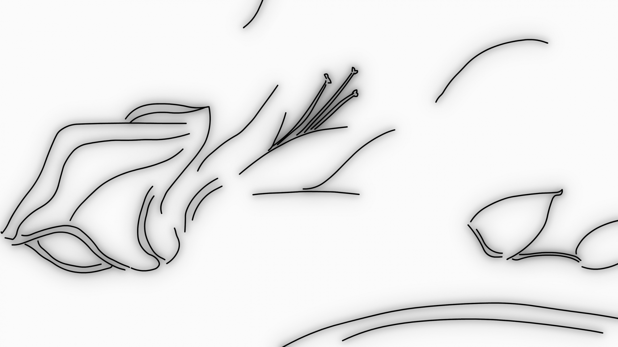 Lilli Carré | Bemis Center for Contemporary Arts