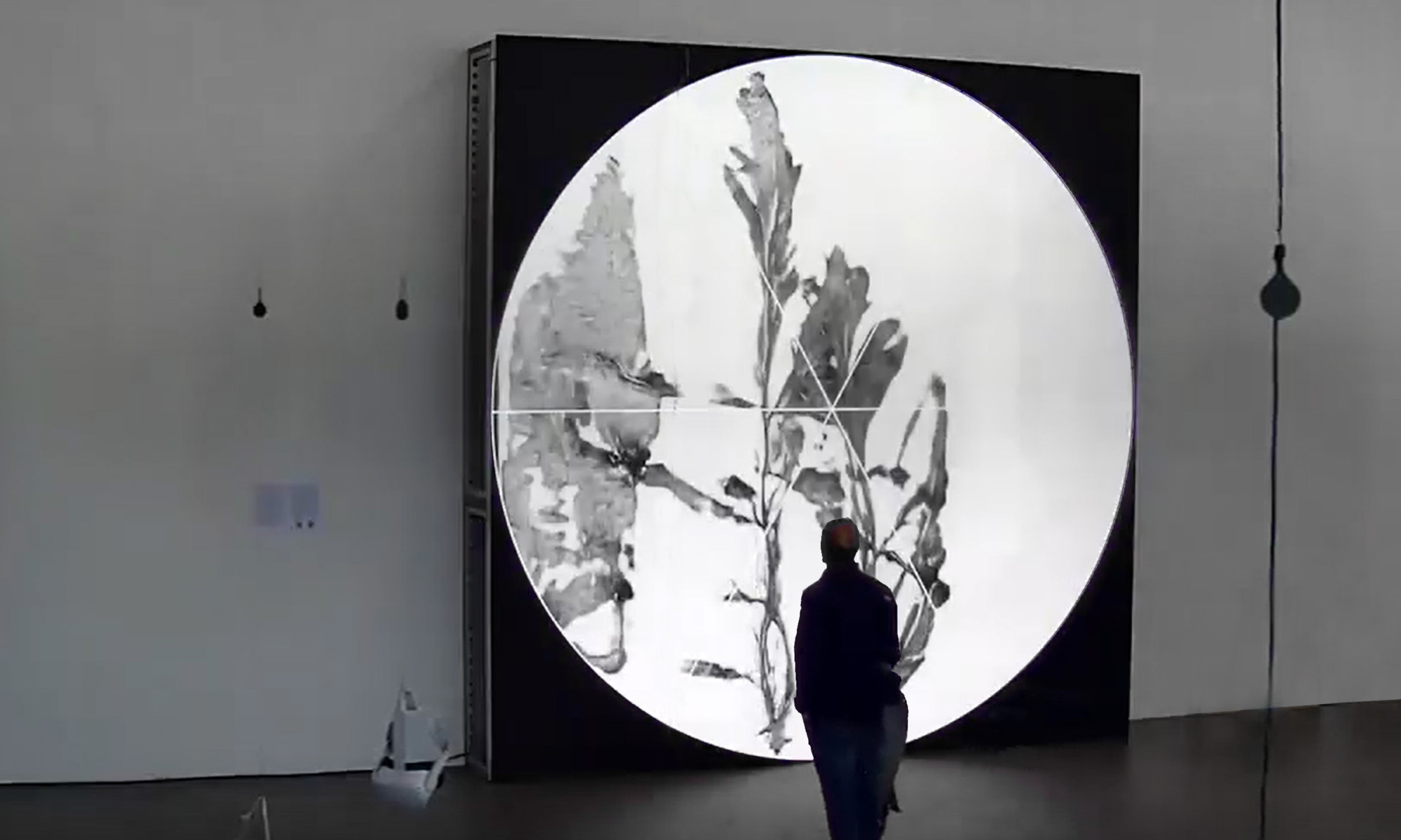 Yiyao Tang | Bemis Center for Contemporary Arts