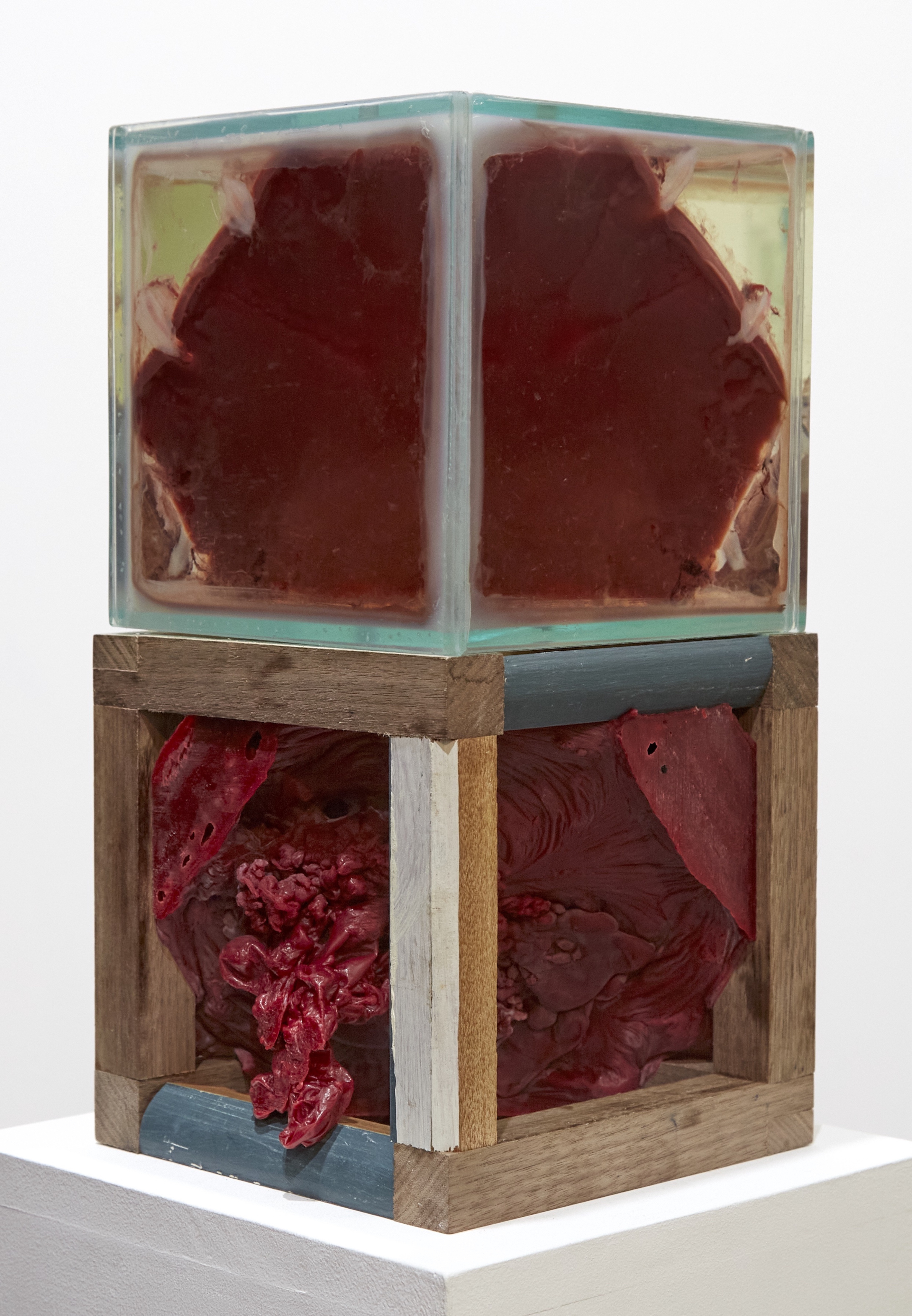 Jennifer Sirey | Bemis Center for Contemporary Arts