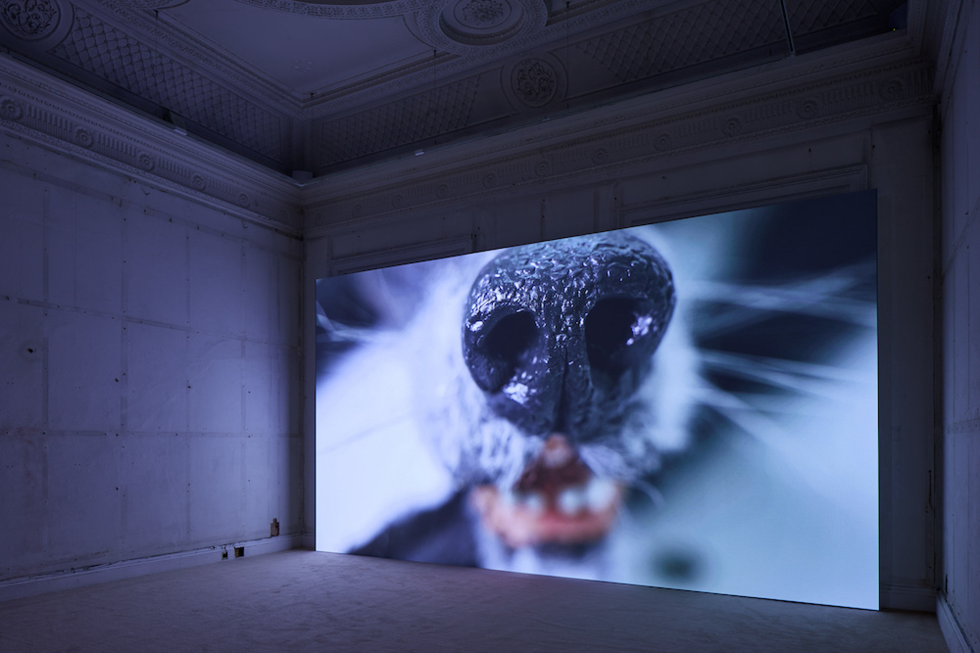 Stuart Middleton | Bemis Center for Contemporary Arts