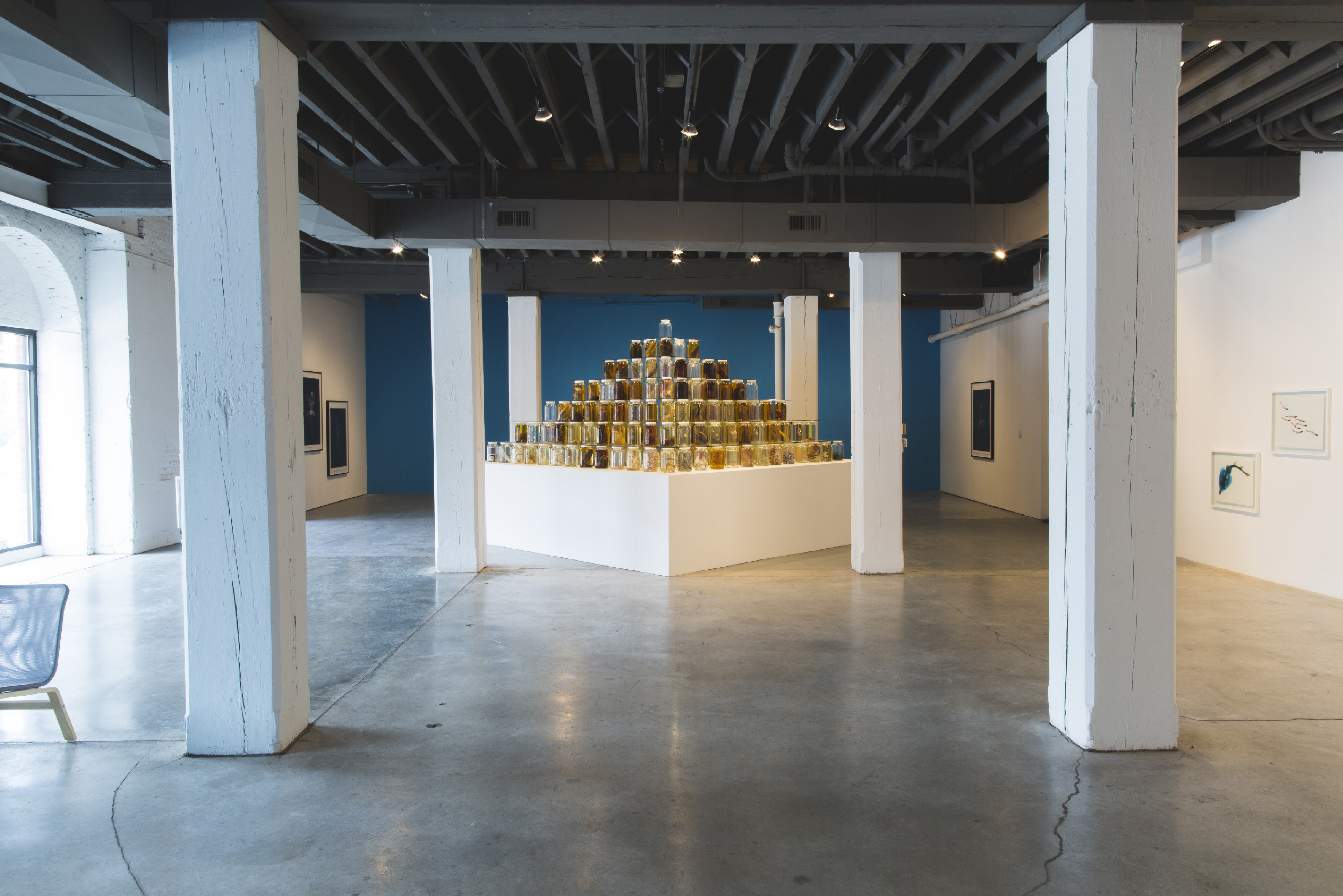 Brandon Ballengée: Collapse | Bemis Center for Contemporary Arts