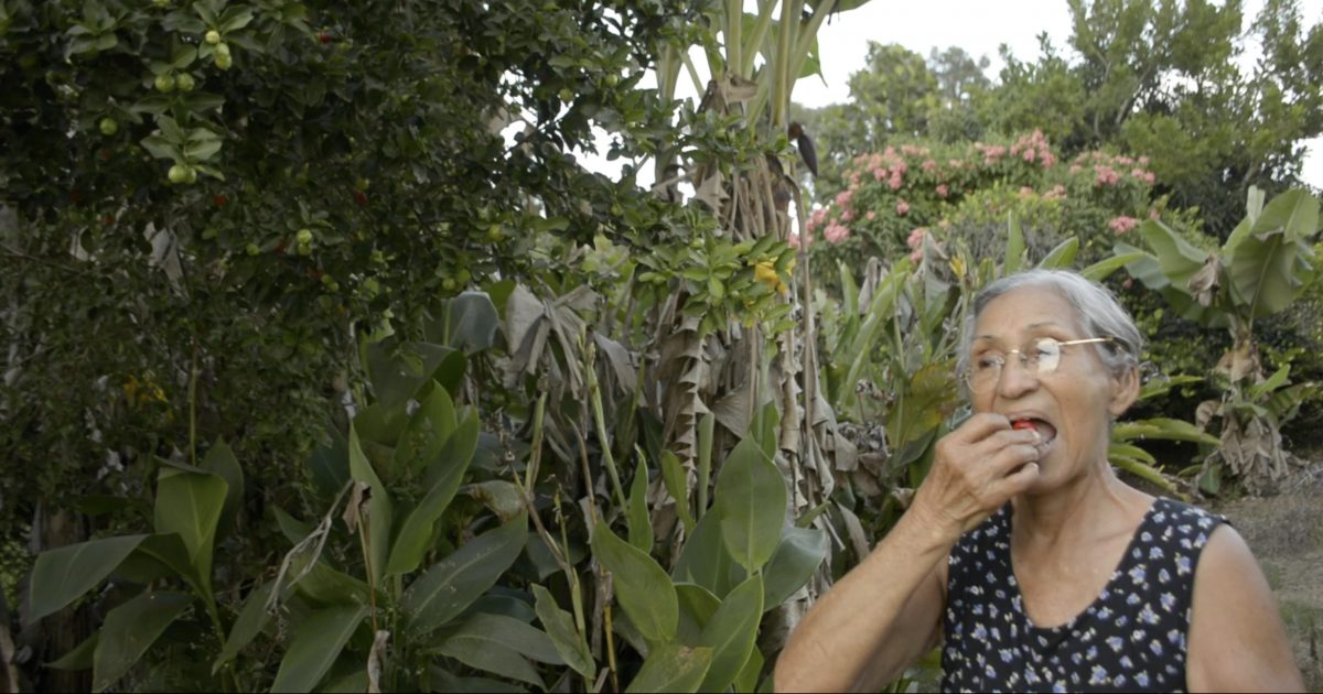 Jezabeth Roca Gonzalez | Bemis Center for Contemporary Arts
