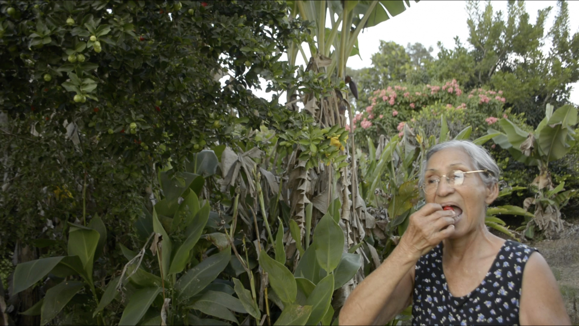 Jezabeth Roca Gonzalez | Bemis Center for Contemporary Arts