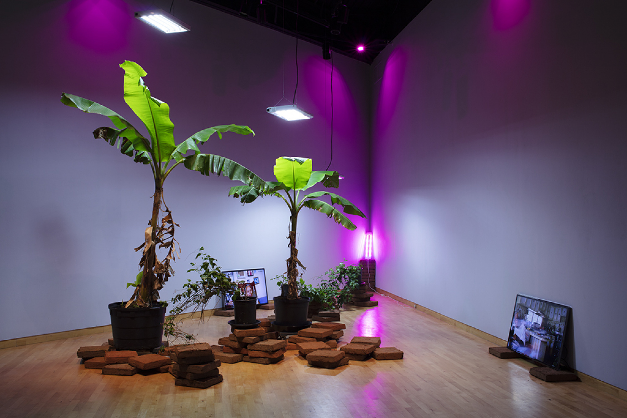 Jezabeth Roca Gonzalez | Bemis Center for Contemporary Arts