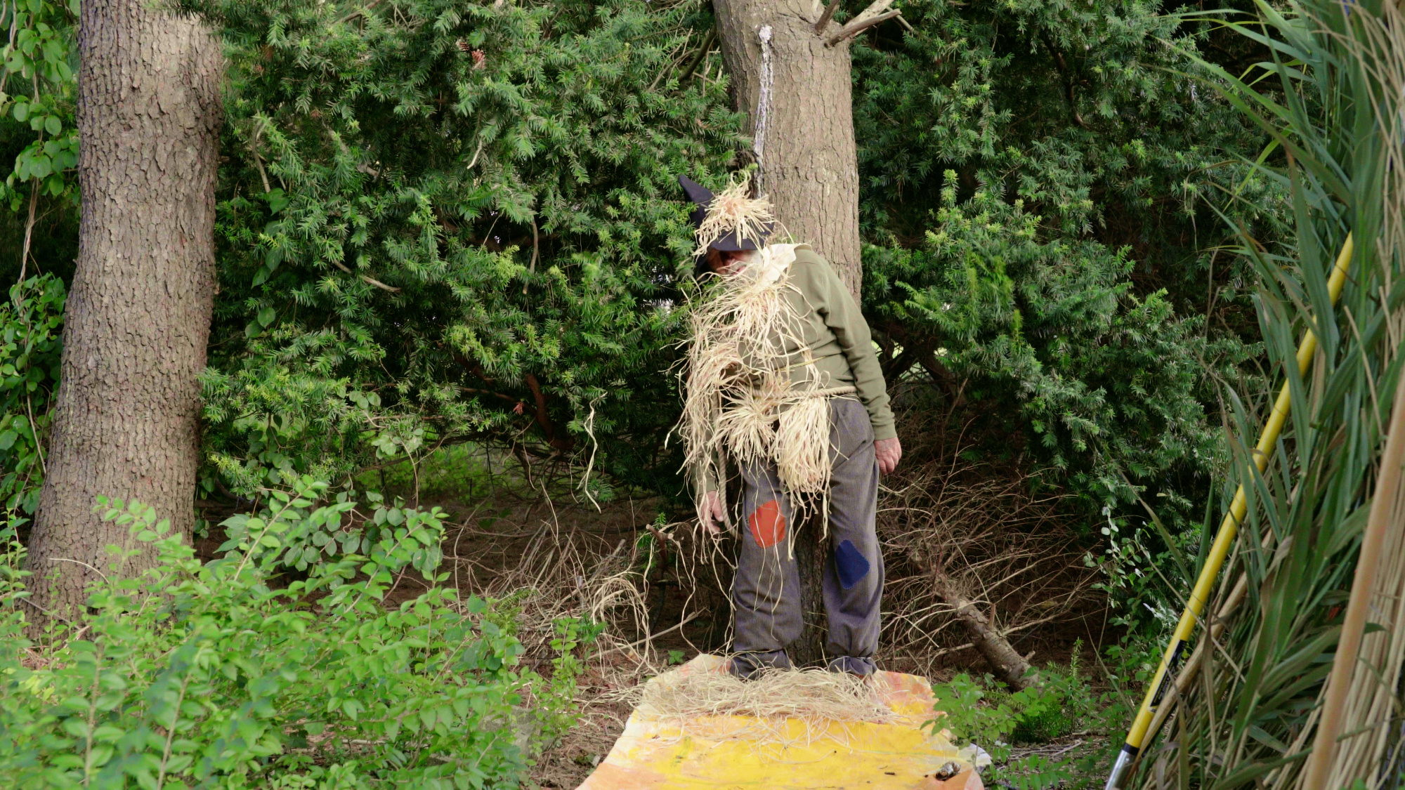 Tamara Rosenblum | Bemis Center for Contemporary Arts