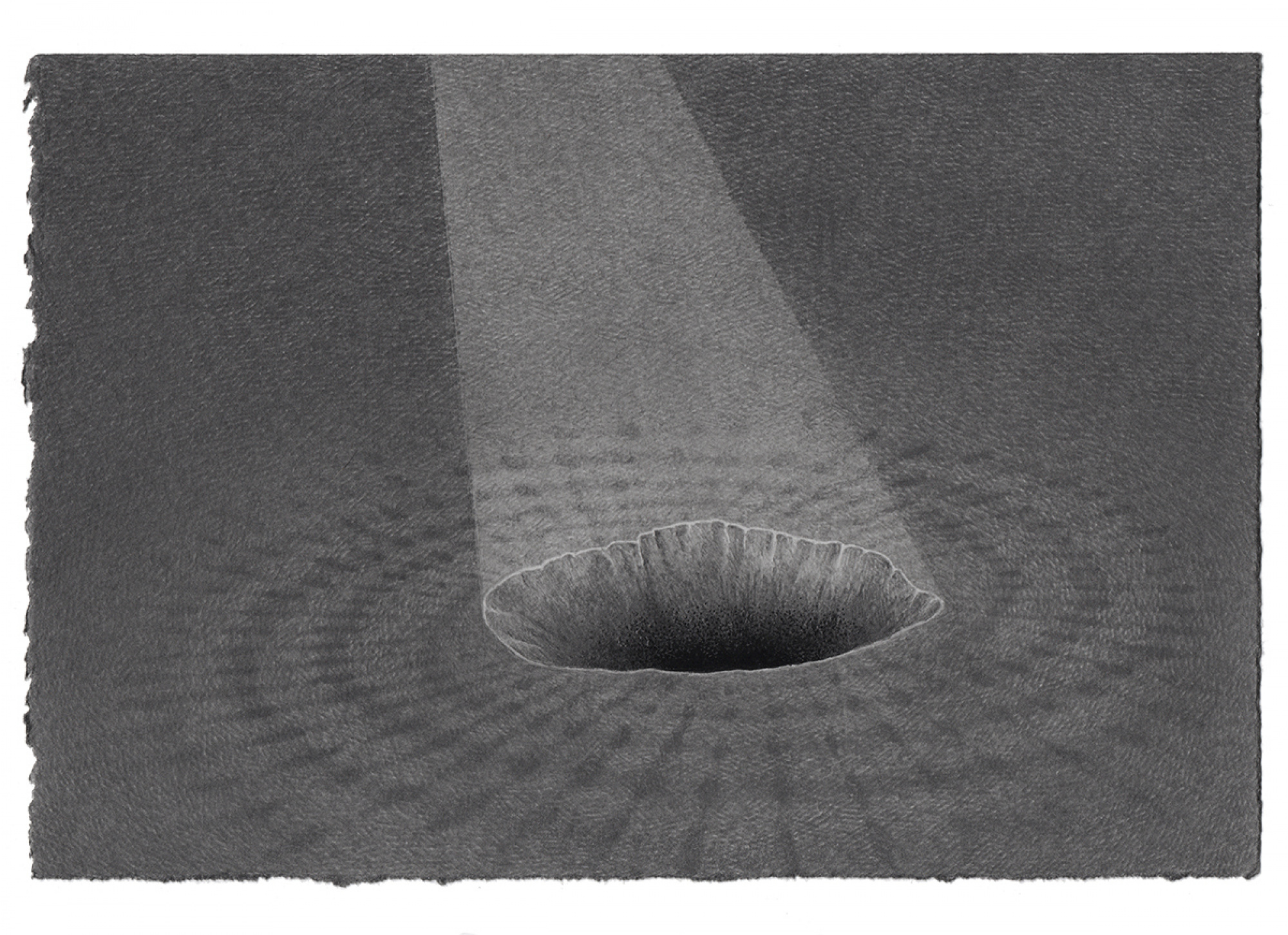 Adam Liam Rose | Bemis Center for Contemporary Arts