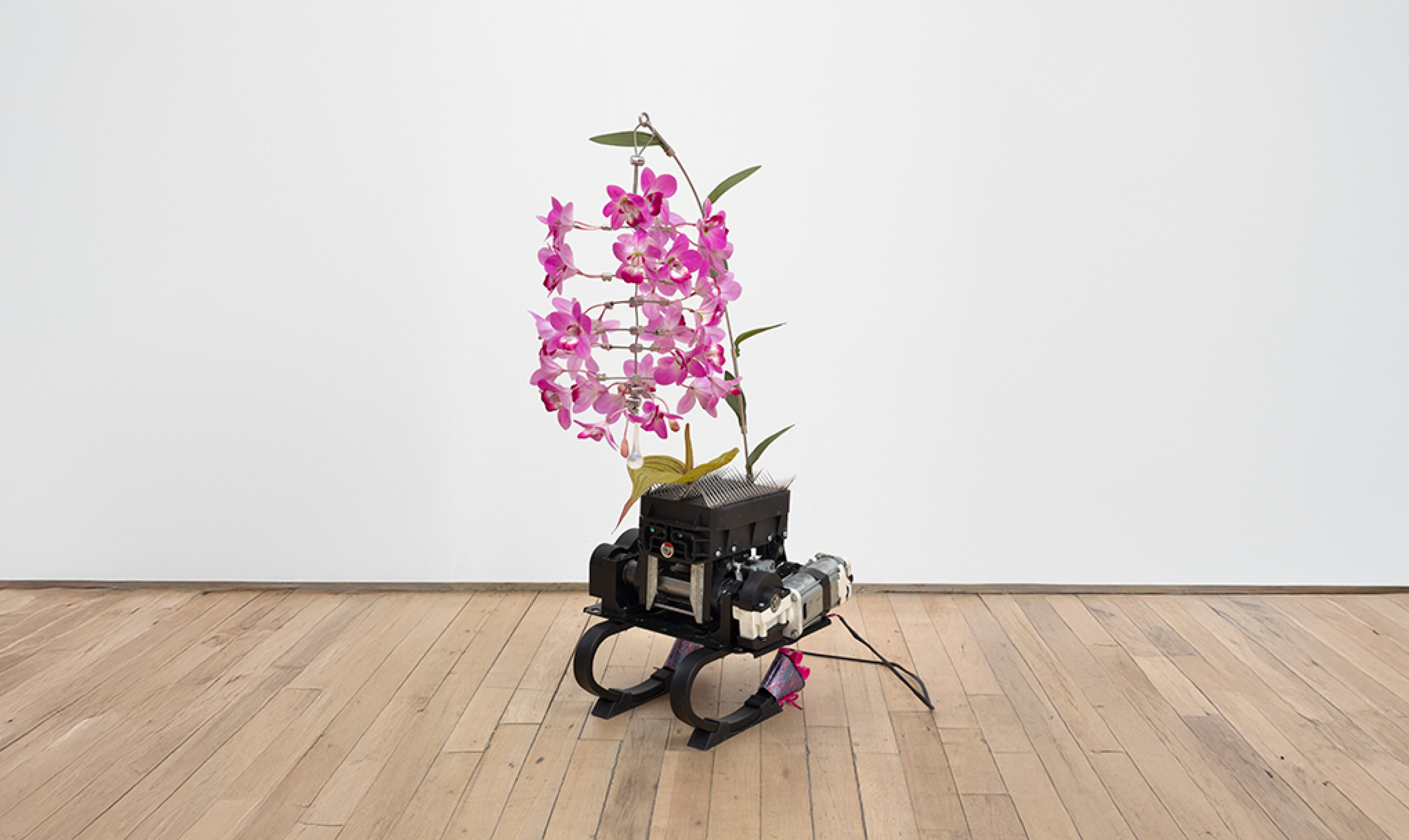 Bemis Center for Contemporary Arts | Bemis Center for Contemporary Arts